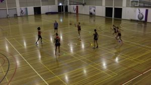 NETBALL SESSION PLAN: GET THAT TIMING RIGHT - thenetballcoach.com